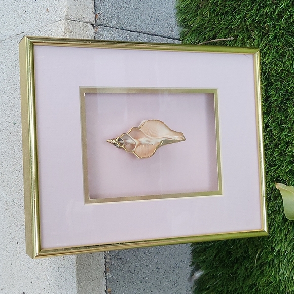 Art | Figi Giftware Gold Lined Shell In A Shadowbox Matte Frame | Poshmark